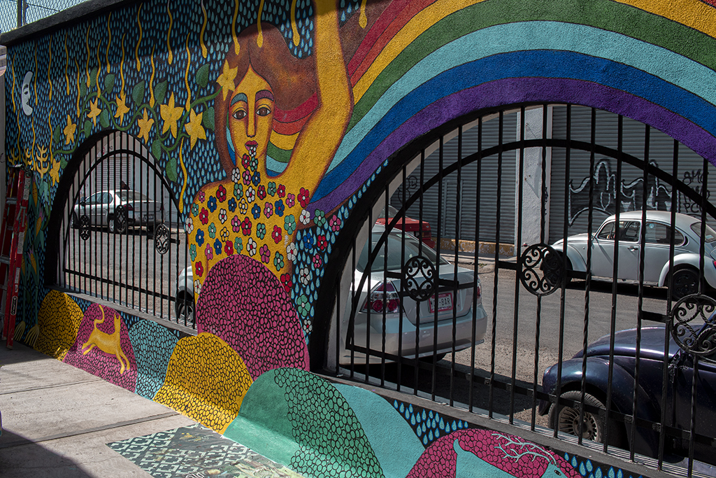 Exhibition “Ñuu Savi: Living Nature” by Santiago Savi. – FBA Blog