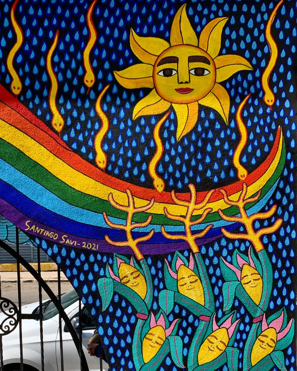 7ma exposición temporal: “Ñuu Savi: Naturaleza viva” de Santiago Savi ...